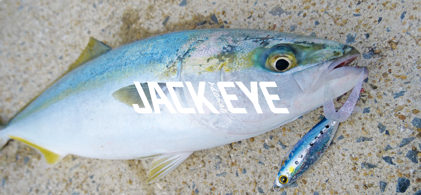 JACK EYE -ジャックアイ-｜メタルジグ｜ハヤブサ